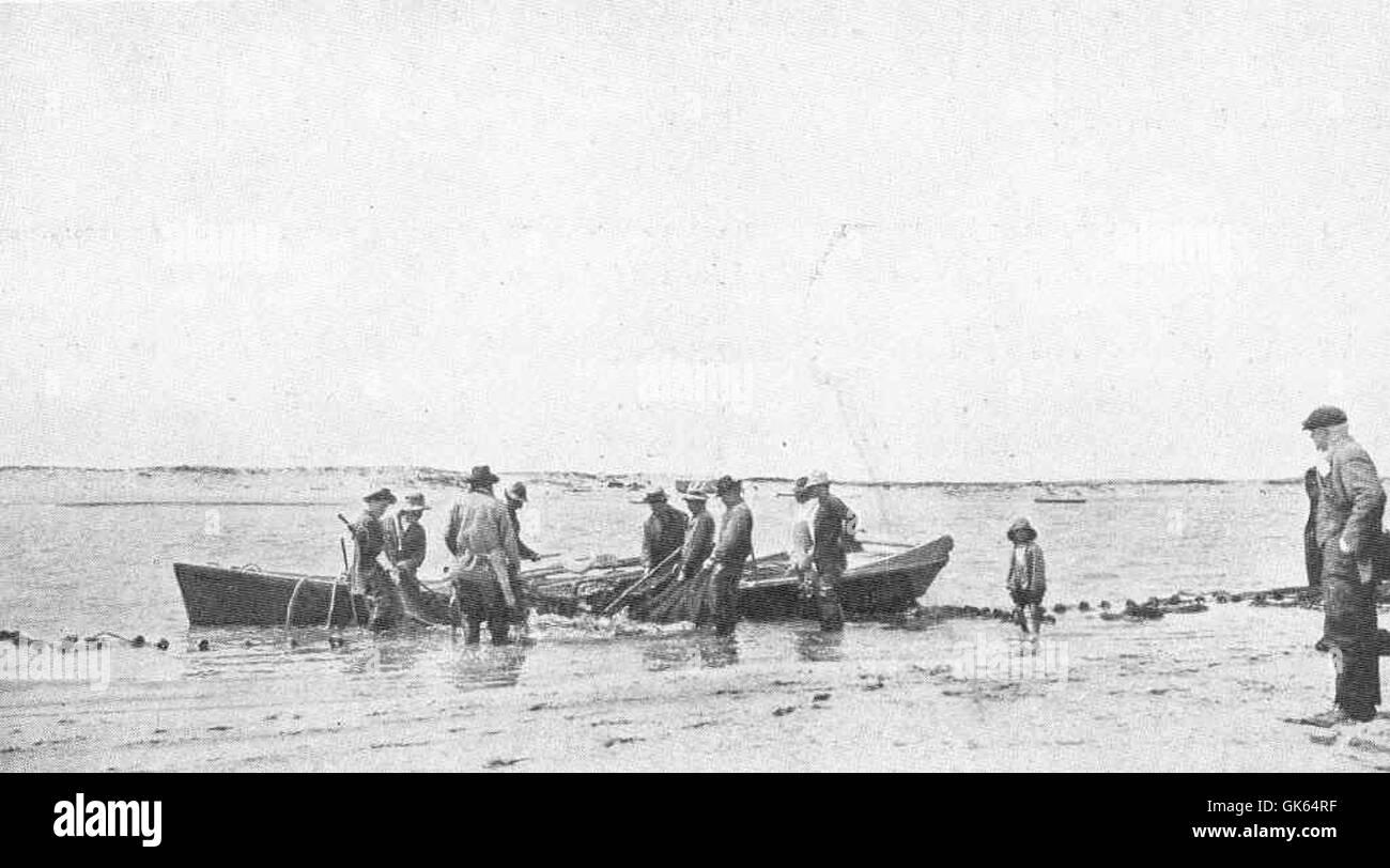 49047 Beach Seining, Seetuck River Loading the catch of sockeye salmon ...