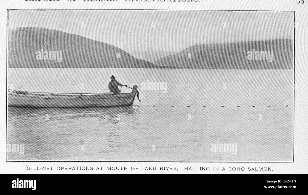 Gill-net operations at the mouth of the Taku River focus on capturing ...