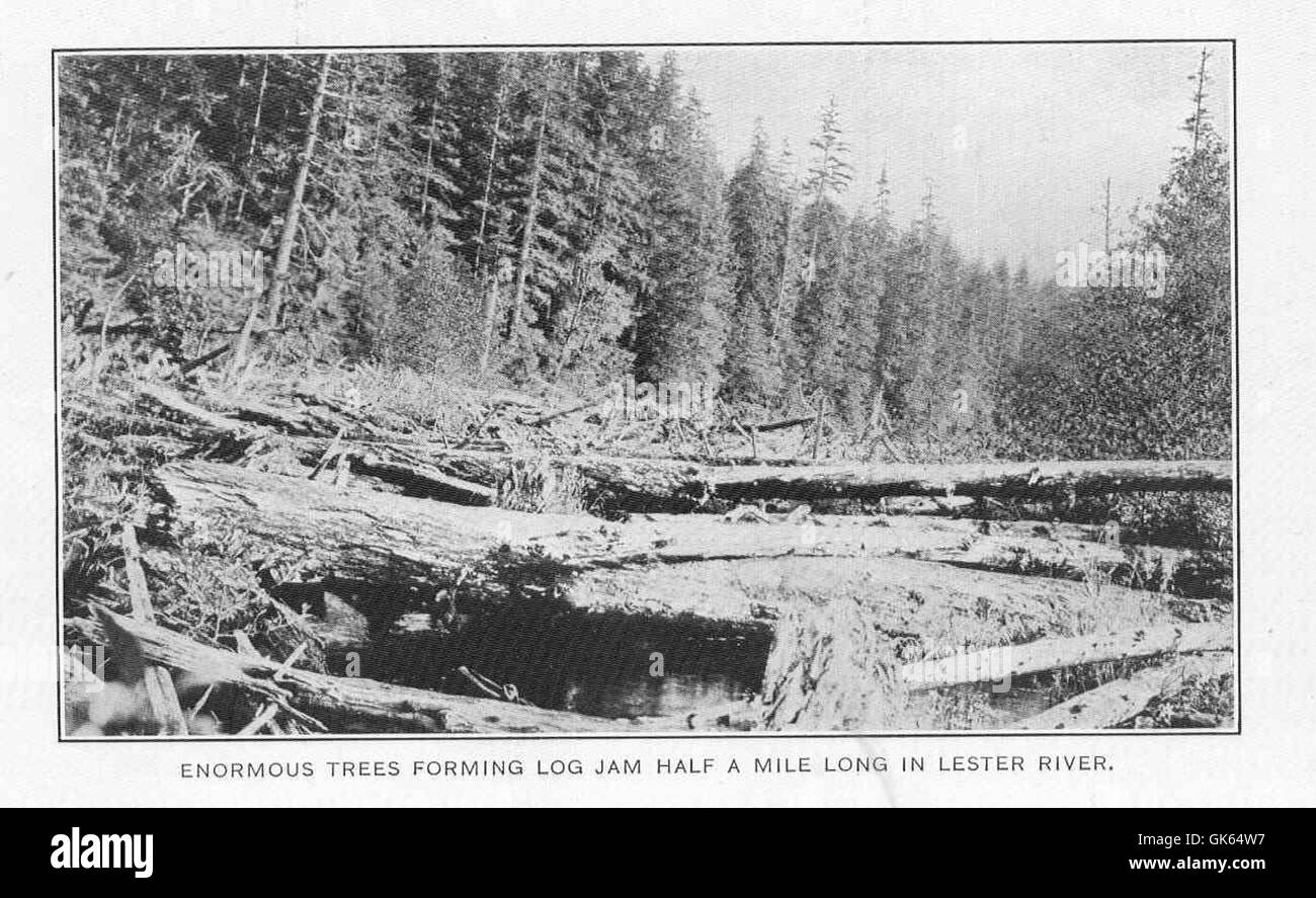 49089 Enormous Trees forming log jam half a mile long in Lester River ...