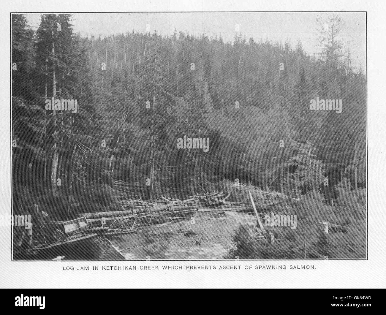 49094 hi-res stock photography and images - Alamy