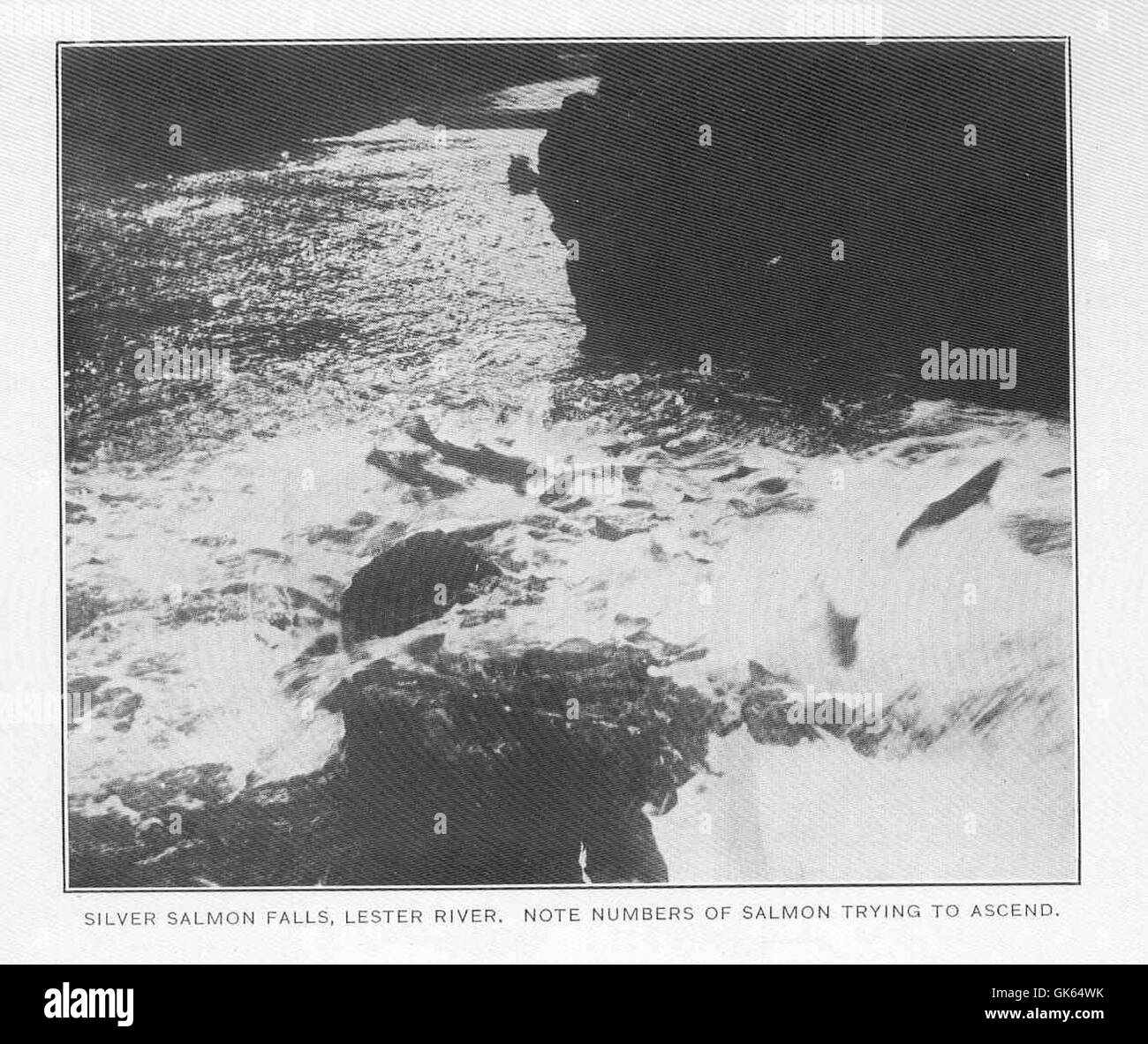 Silver Salmon Falls, located on the Lester River, is a key point for ...