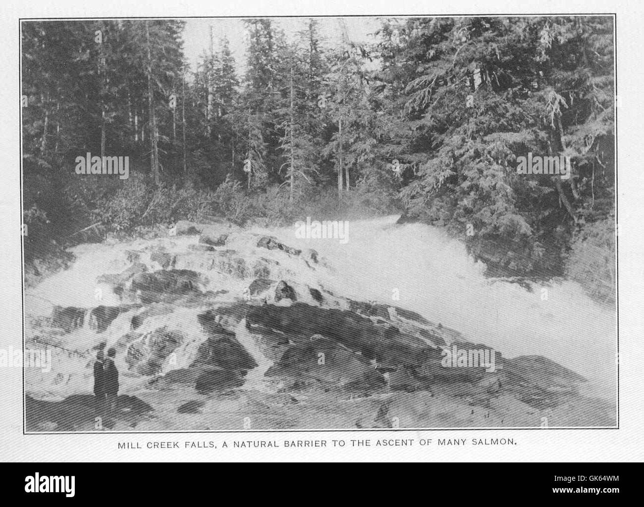 An image of Mill Creek Falls, a natural waterfall that serves as a ...