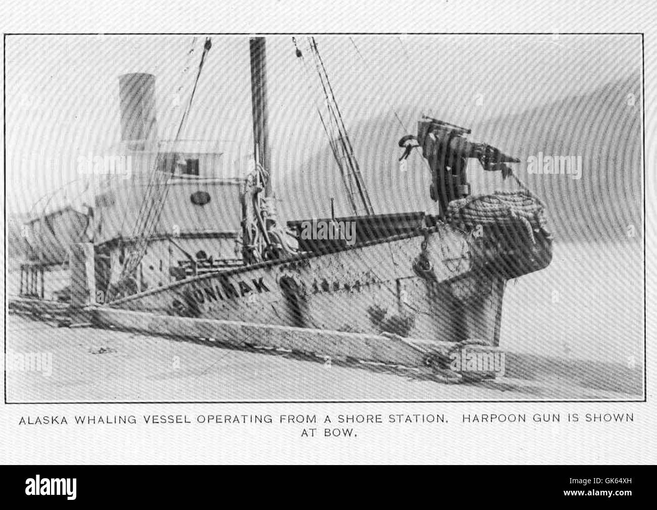 An Alaska whaling vessel operating from a shore station, with a harpoon ...