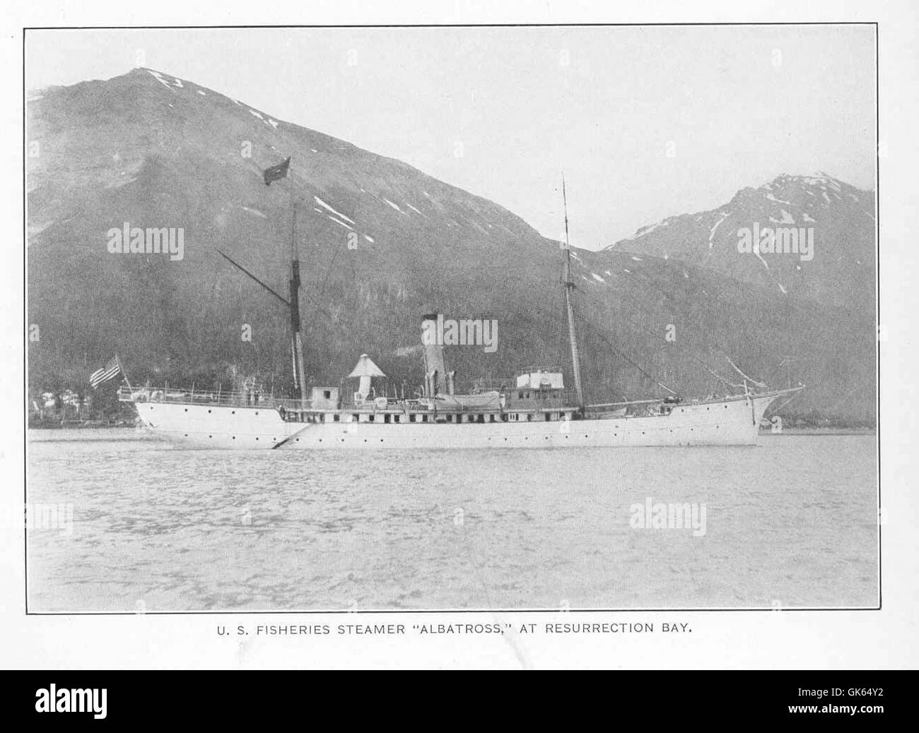 Albatross map Black and White Stock Photos & Images - Alamy