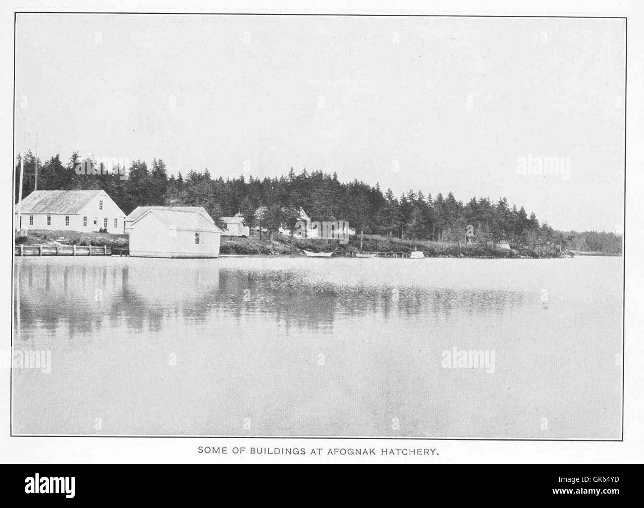 The Afognak Hatchery, located on Afognak Island, supports salmon ...