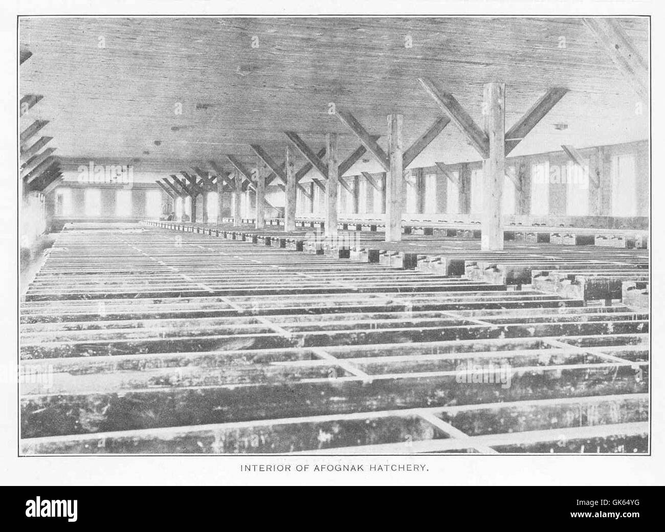 Afognak hi-res stock photography and images - Alamy