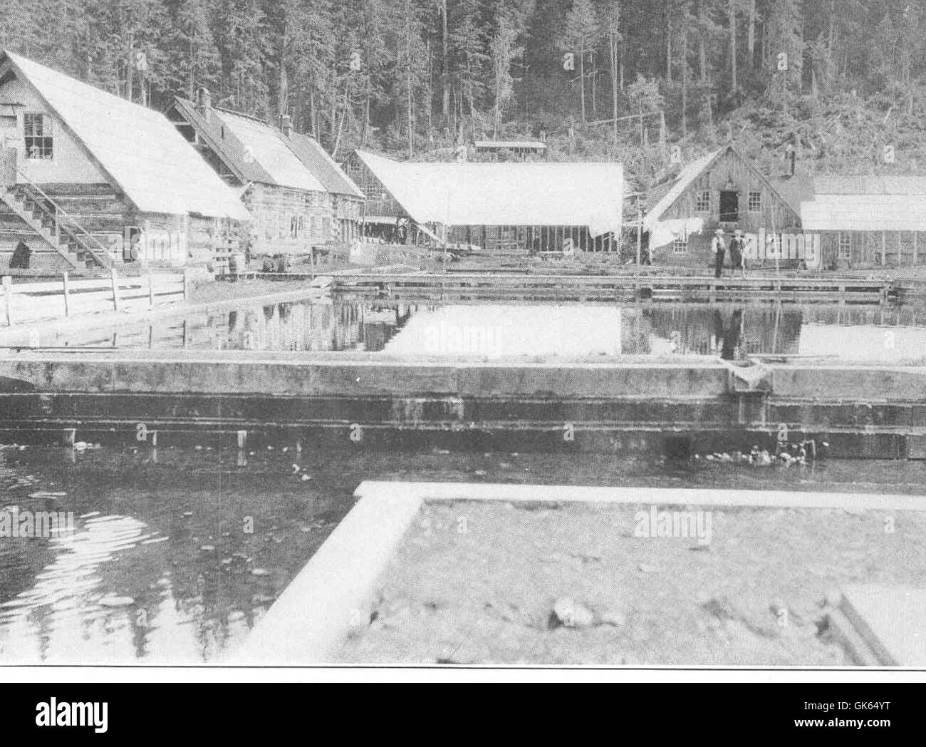 The rearing ponds at Fortmann Hatchery are used for raising fish ...