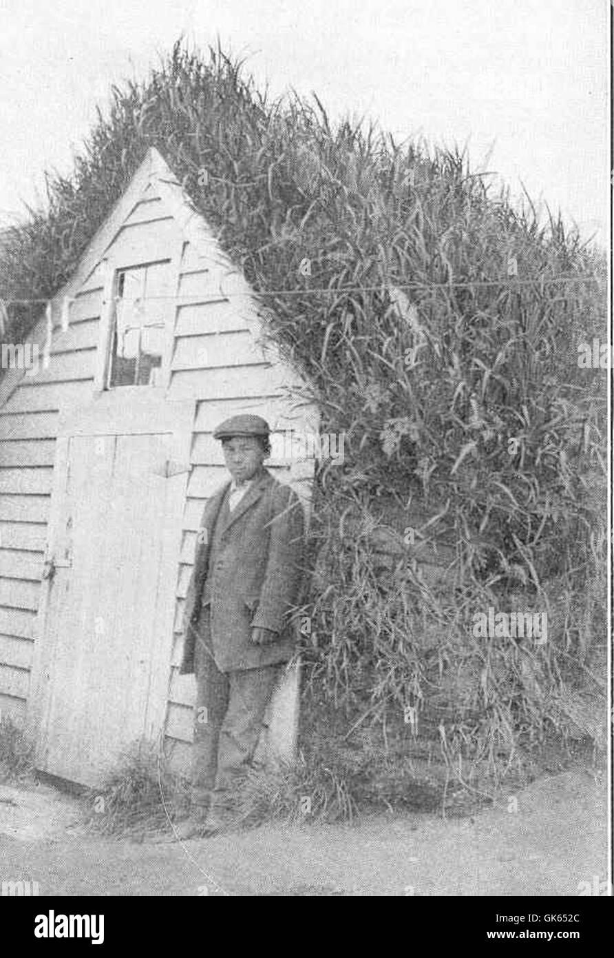 This image depicts a native Barabara and an Aleut boy from St. Paul ...