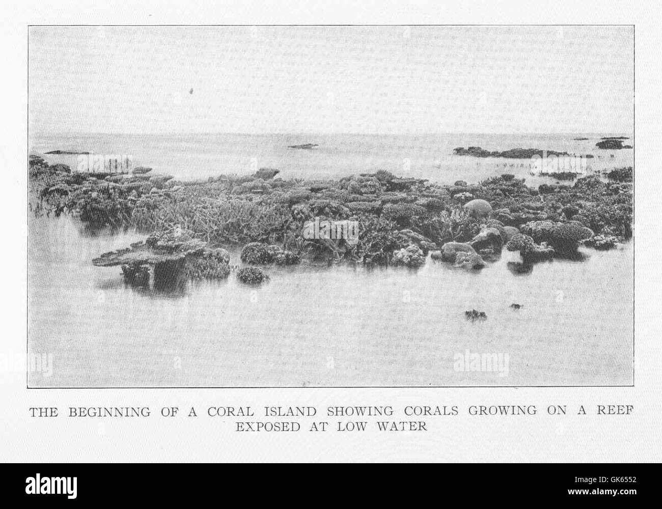 The image illustrates the early stages of a coral island formation ...
