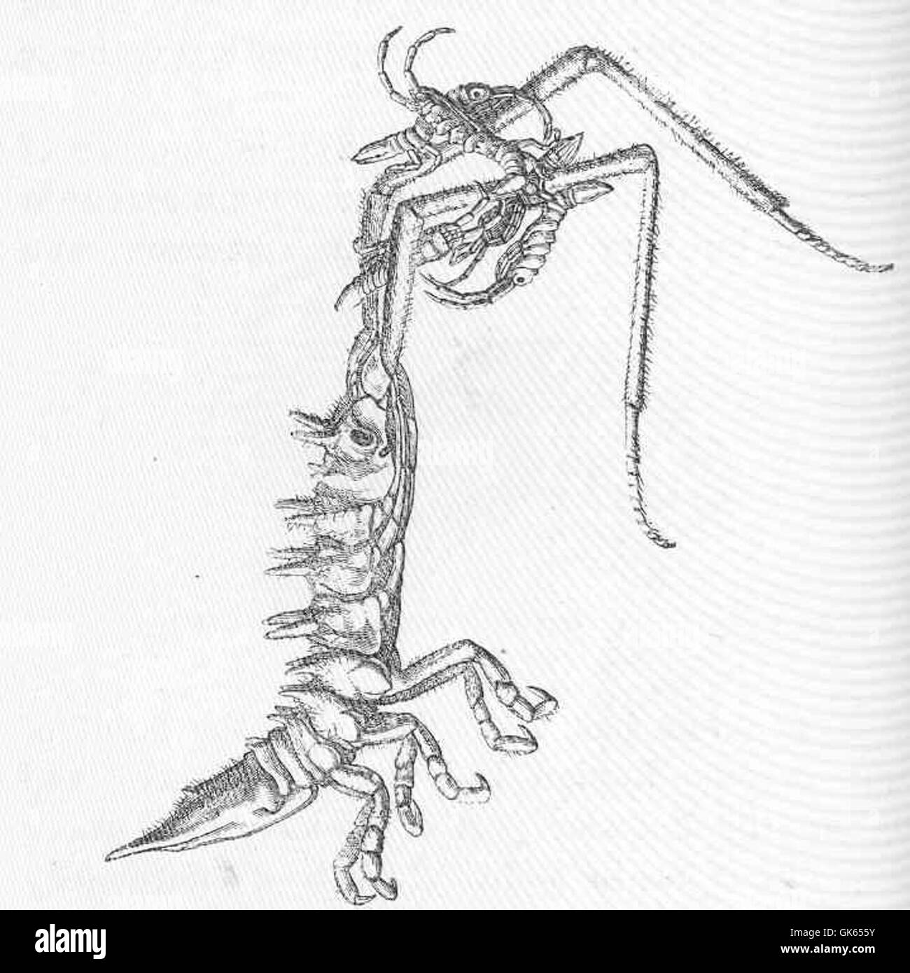 Map of sabine hi-res stock photography and images - Alamy