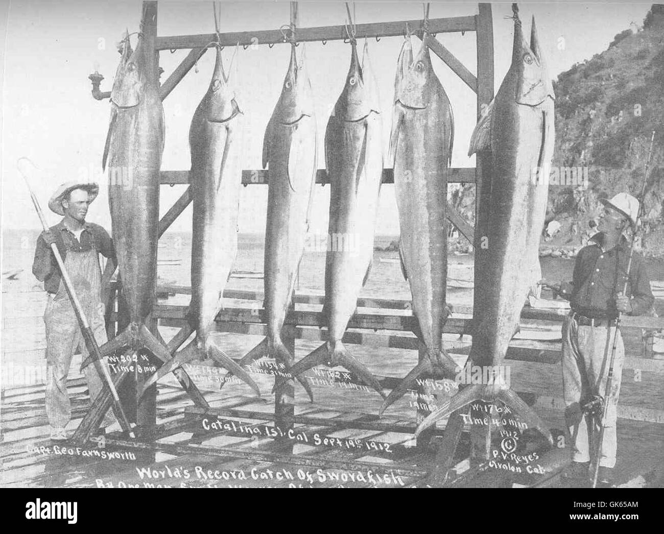 A world-record swordfish catch at Santa Catalina Island is captured ...