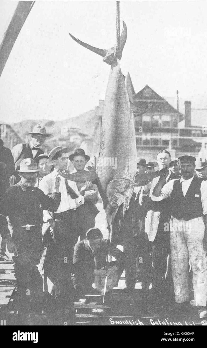 Swordfish hunting Black and White Stock Photos & Images - Alamy