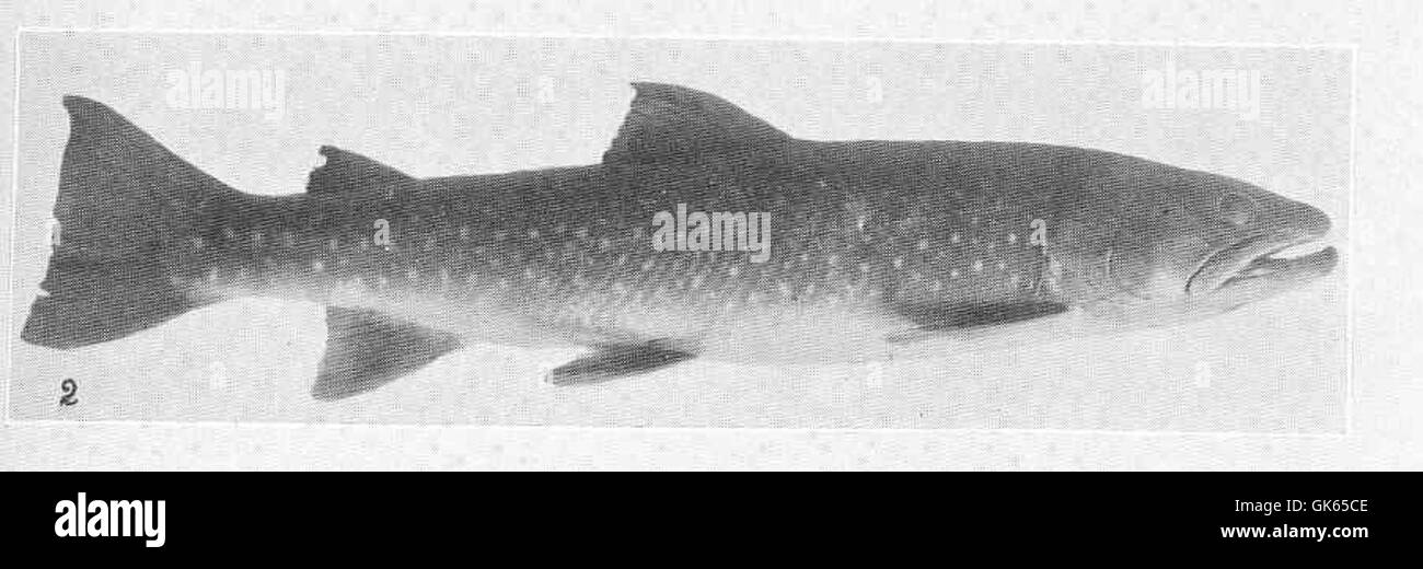 Trout fishing lakes Black and White Stock Photos & Images - Alamy