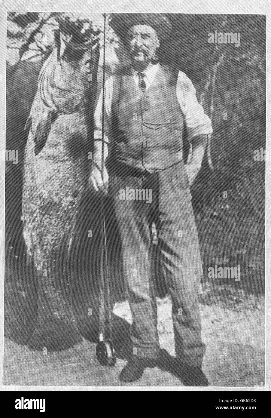 Kabeljou hi-res stock photography and images - Alamy