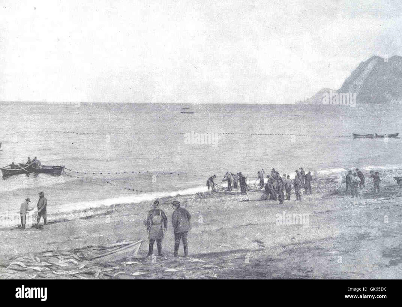The practice of seining for salmon at Karluk, Alaska, shows fishermen ...