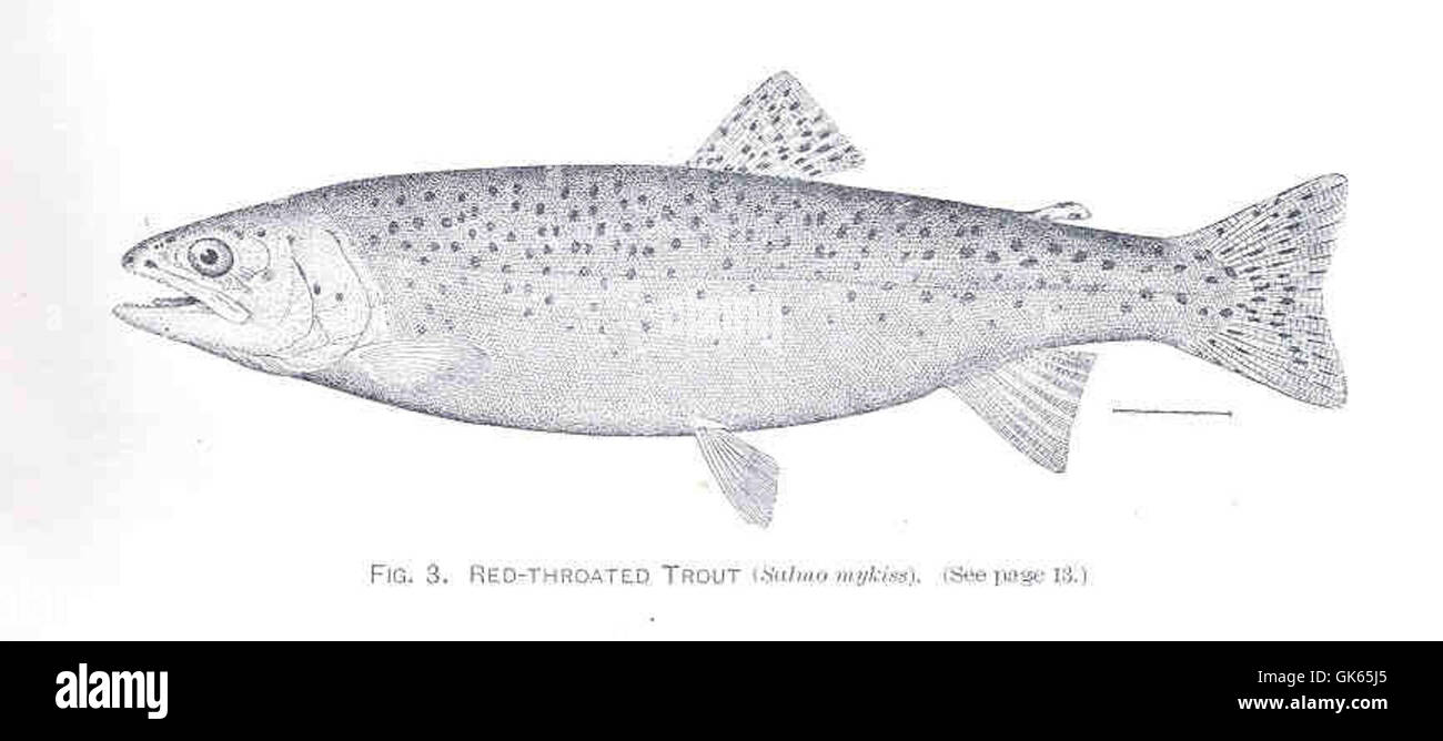 Salmo map hi-res stock photography and images - Alamy