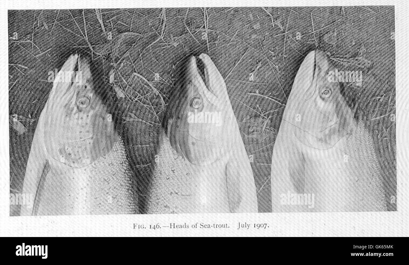 Variations in habitat Black and White Stock Photos & Images - Alamy