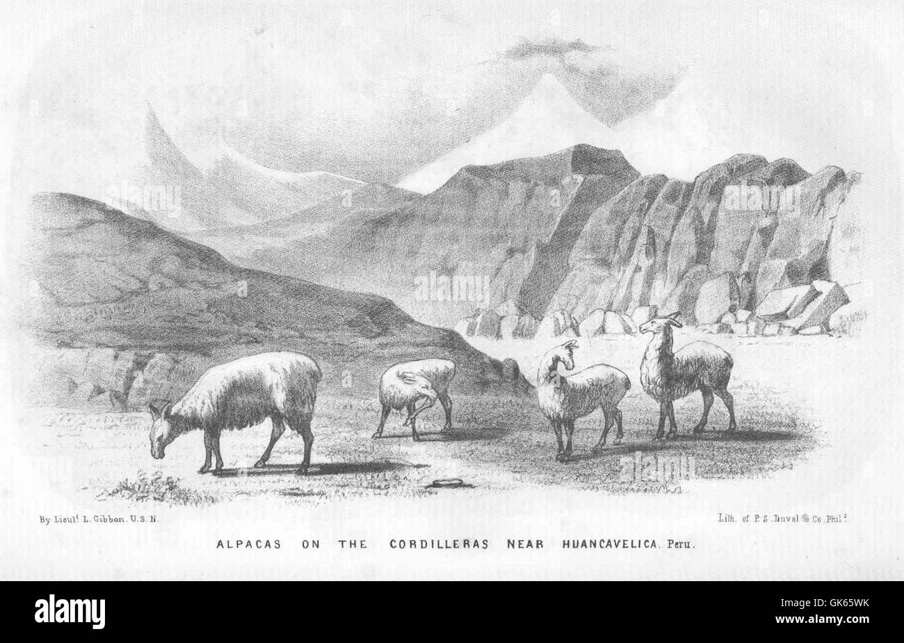 Andean cordillera Black and White Stock Photos & Images - Alamy