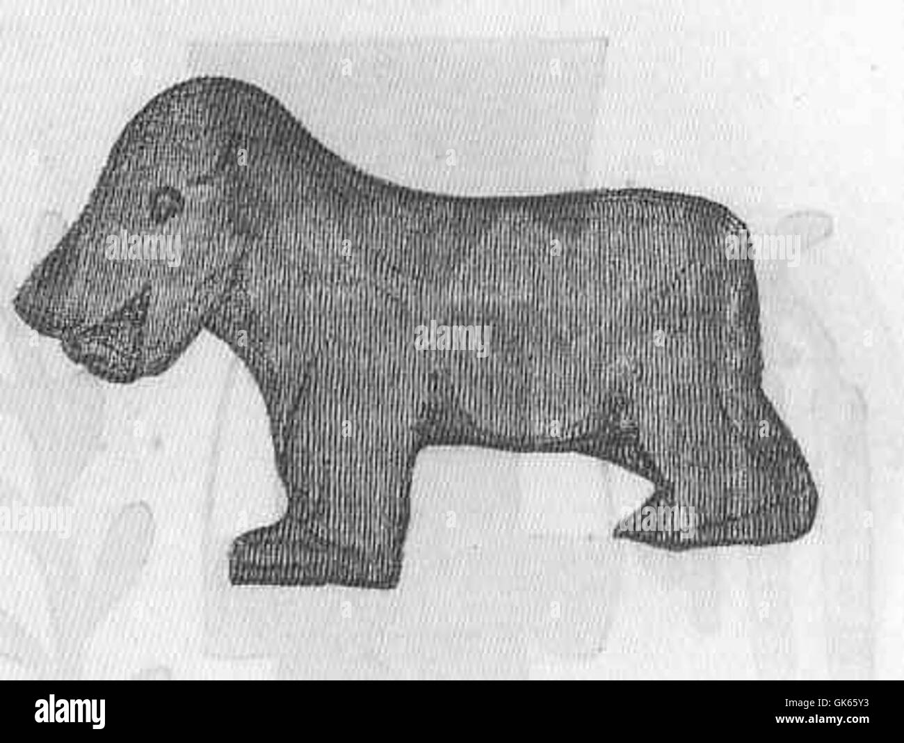 An unspecified animal species, potentially unidentified in this context ...