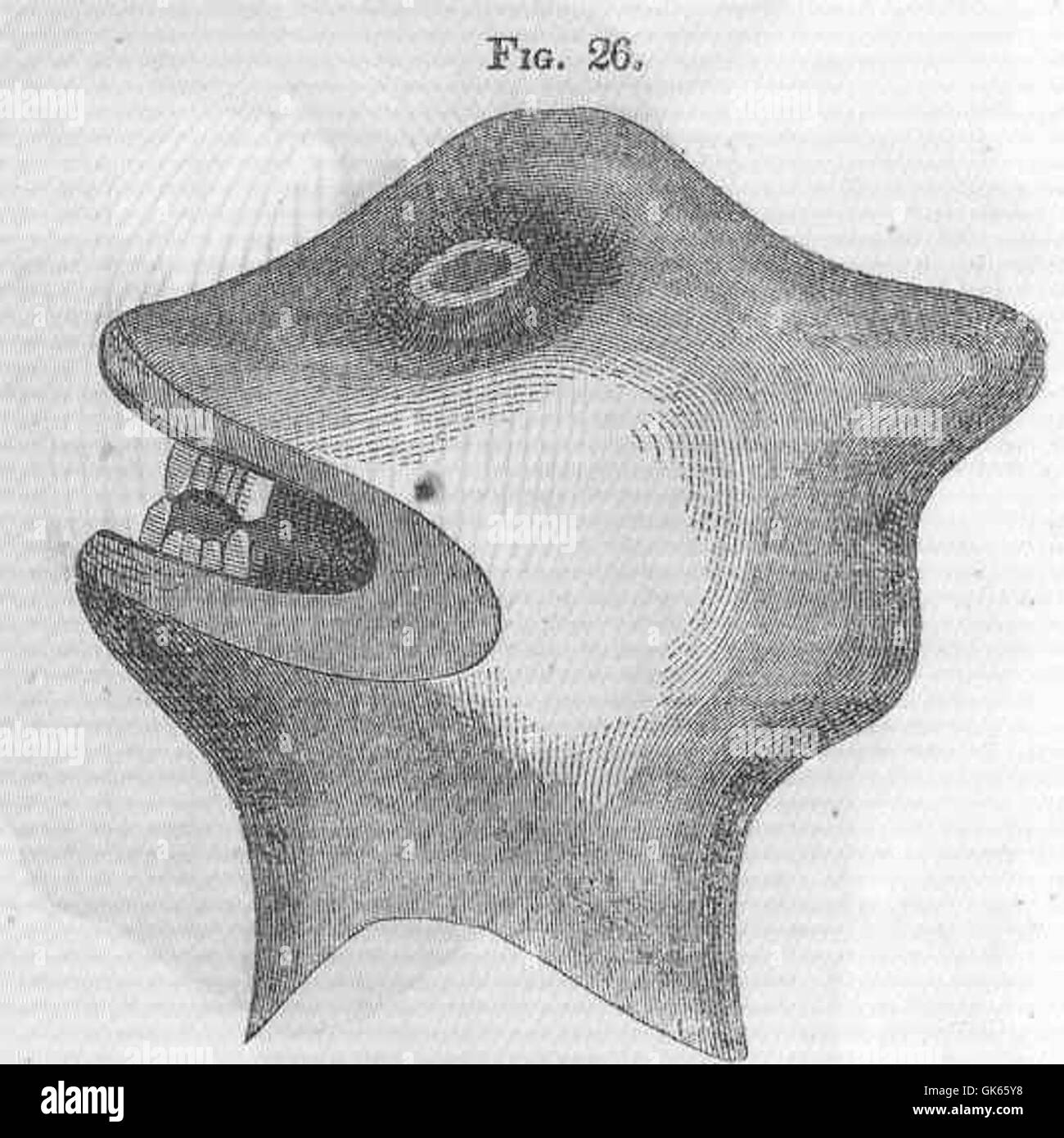 This image depicts a clay sculpture resembling the head of an unknown ...