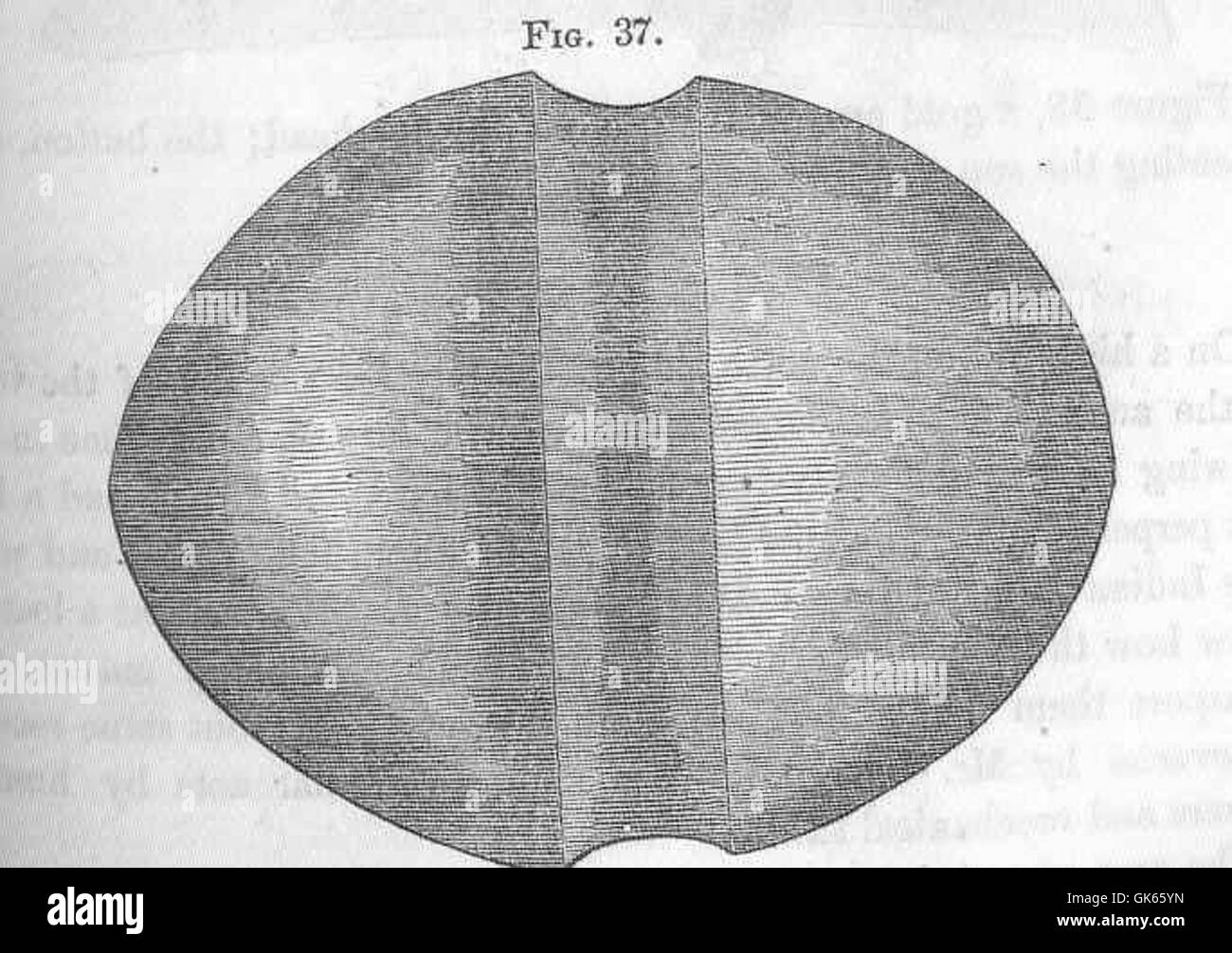 A slung-stone, an ancient weapon used in warfare, is depicted here ...