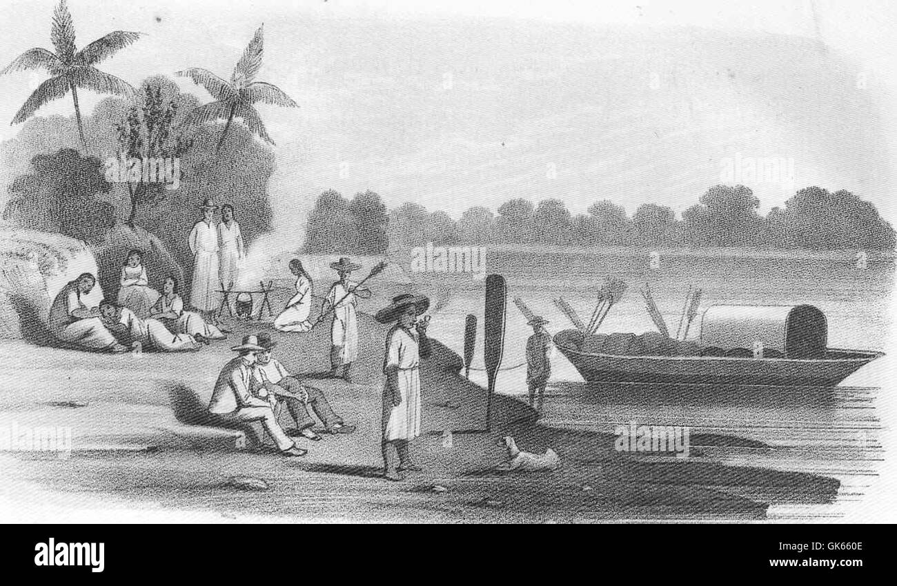 49801 Brazil Shore of the Itenez River Stock Photo - Alamy