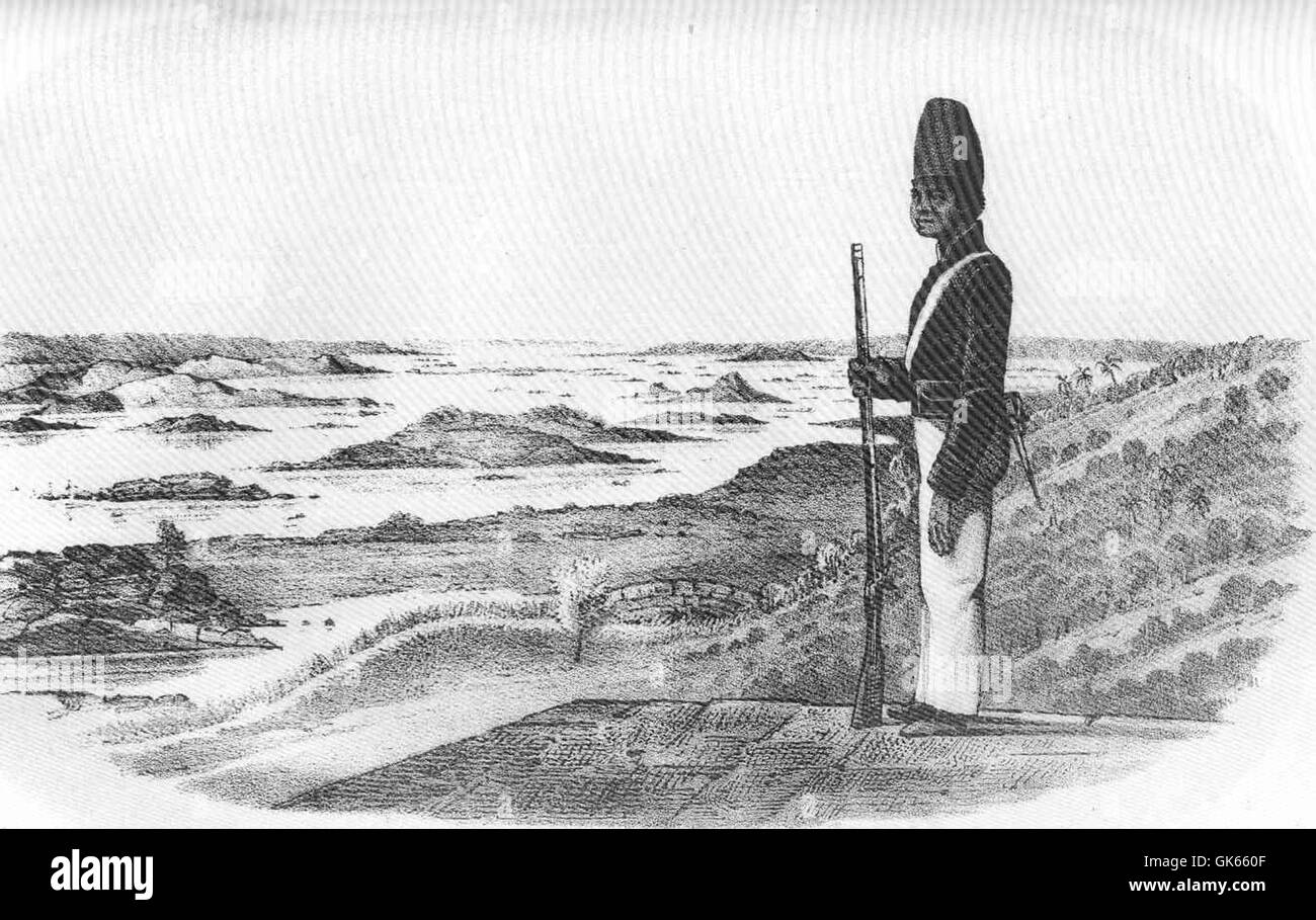 49802 View Down the River Itenez from Forte do Princepe de Beira ...