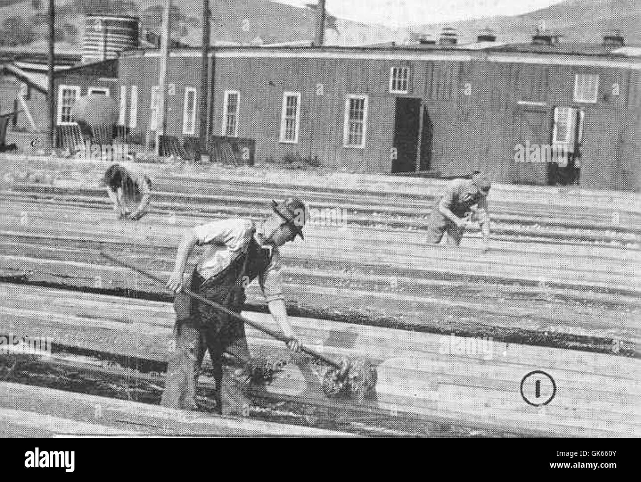 Piling method hi-res stock photography and images - Alamy