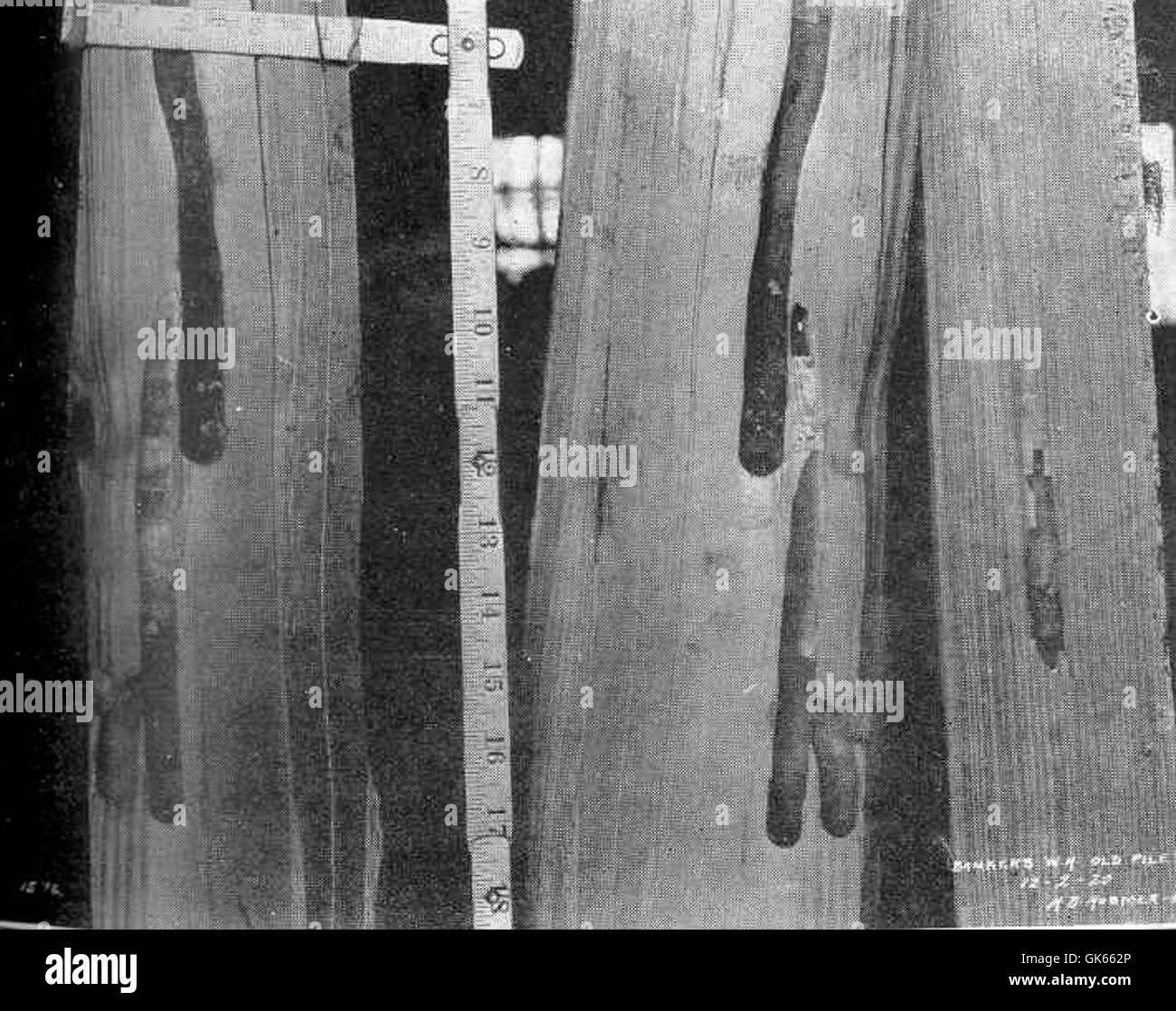 This image depicts oil piling at Banker's Warehouse at Crockett ...