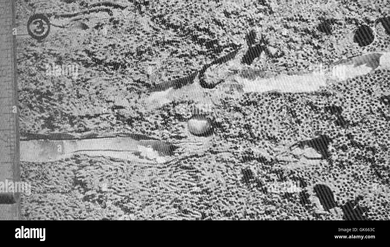 Fender pile Black and White Stock Photos & Images - Alamy