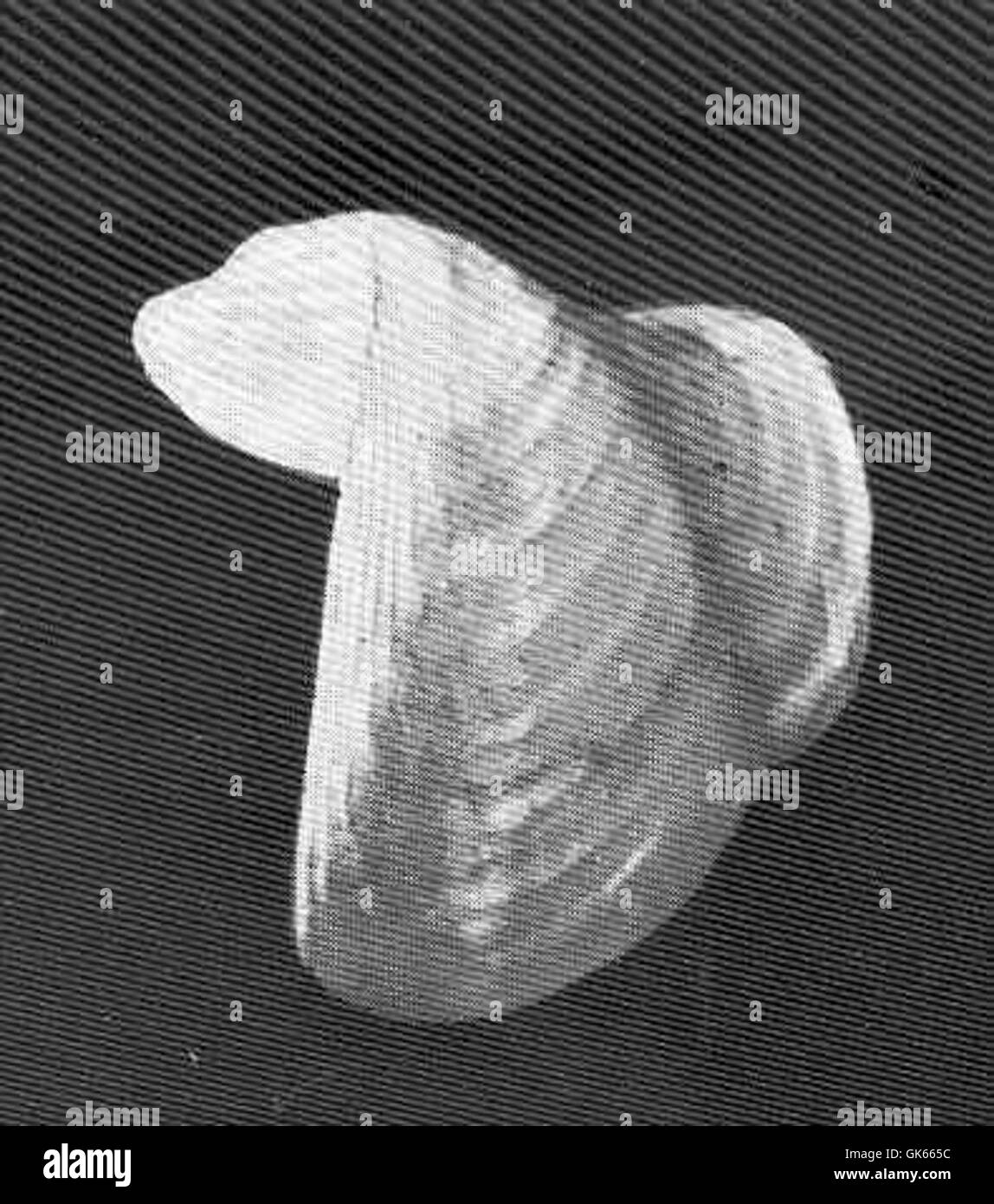 Shallow surface Black and White Stock Photos & Images - Alamy