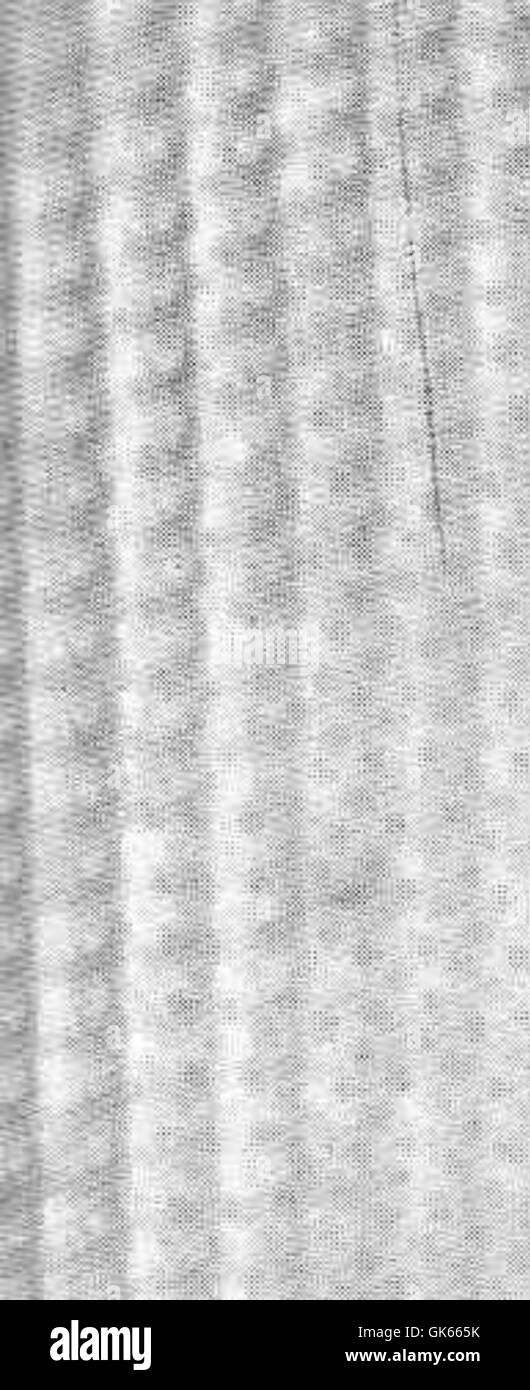 Denticulation High Resolution Stock Photography and Images - Alamy