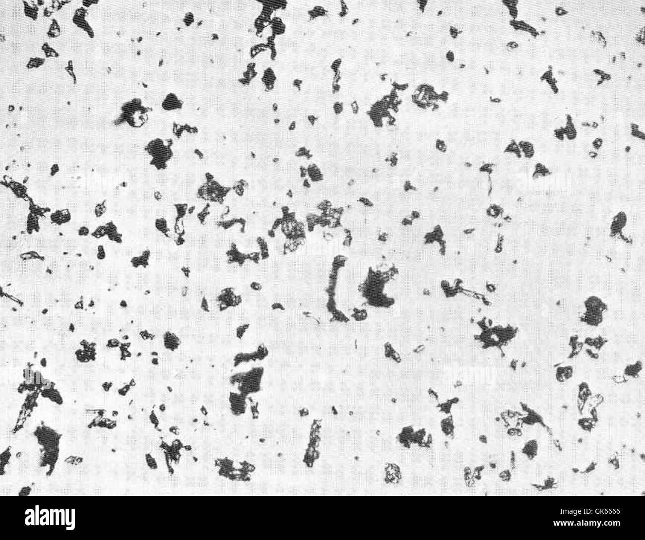 The image depicts wood borings ejected by Teredo, a type of marine ...