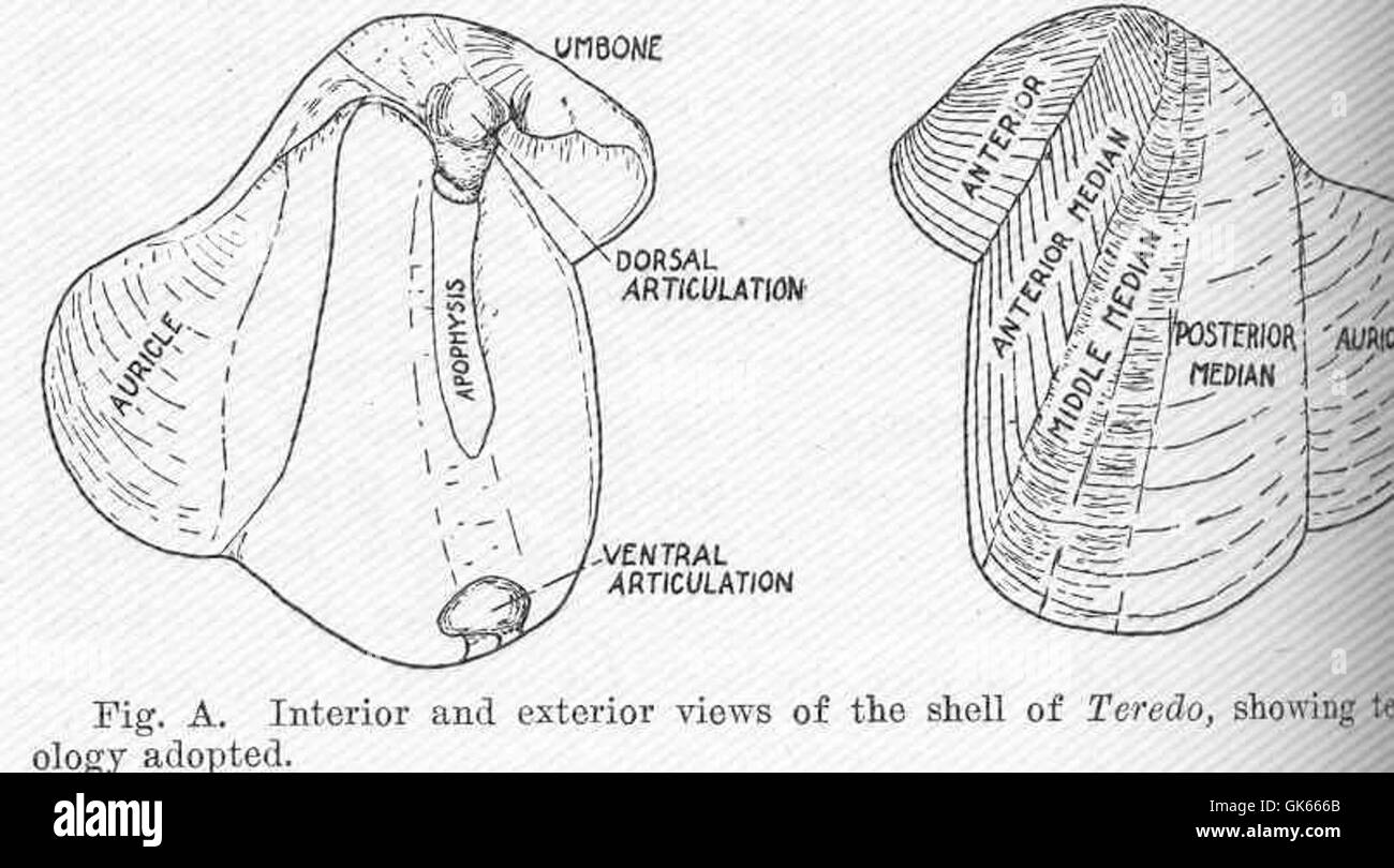 Sketch map showing Black and White Stock Photos & Images - Alamy