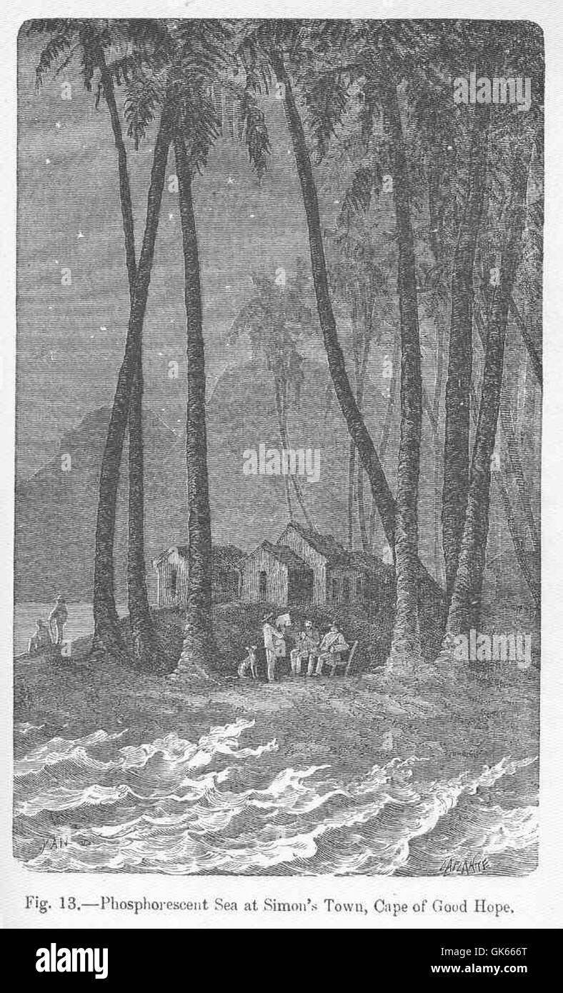 The phosphorescent sea at Simon's Town, located on the Cape of Good ...