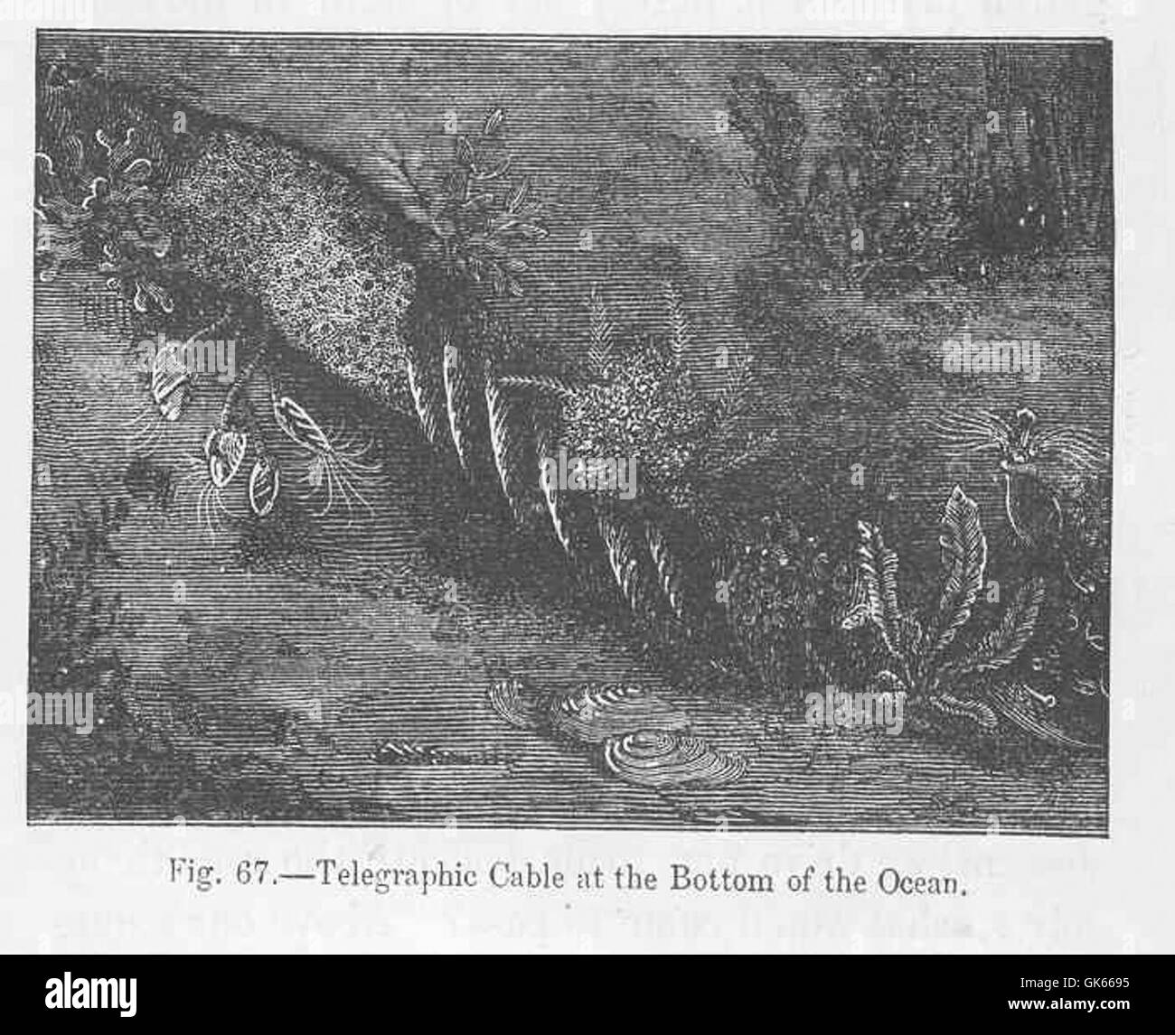 This image illustrates a telegraphic cable lying at the bottom of the ...