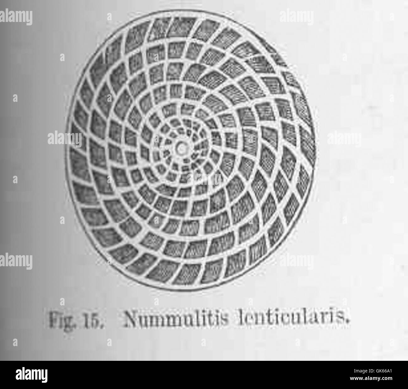 Lenticularis Black and White Stock Photos & Images - Alamy