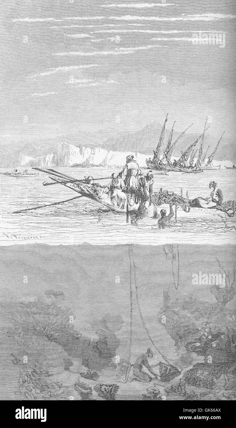 Sponge fishing hi-res stock photography and images - Alamy