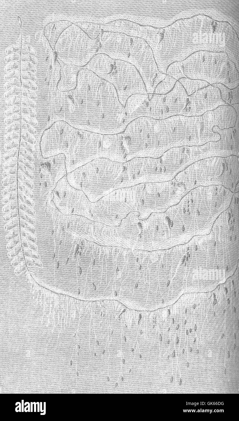 Agalma High Resolution Stock Photography and Images - Alamy