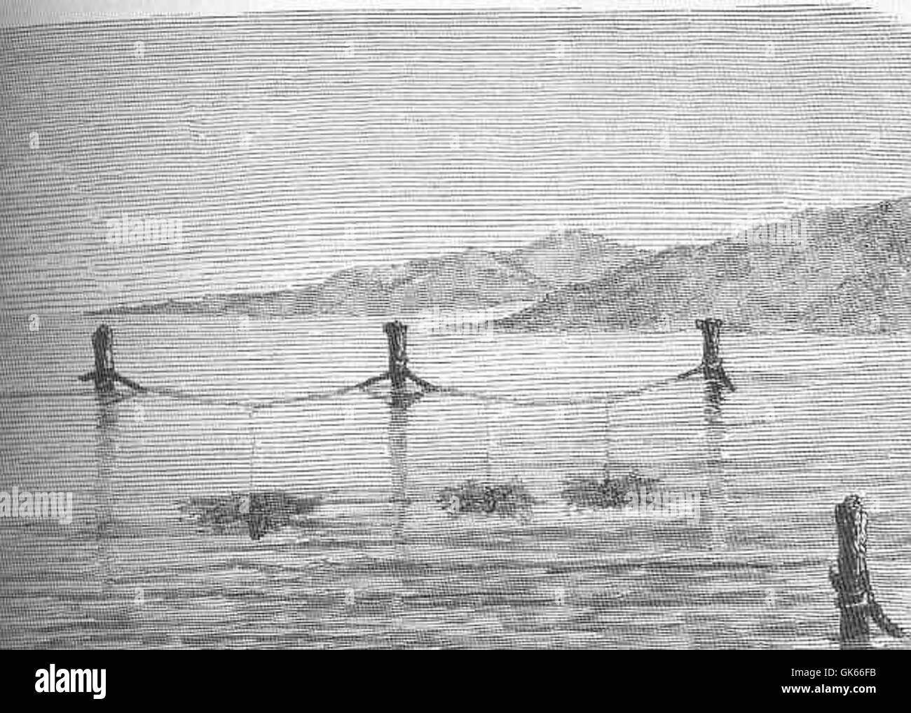 Pillars with cords attached in Lake Fusaro, Italy, are shown. These ...