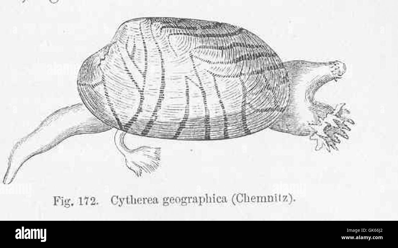 Geographica Black and White Stock Photos & Images - Alamy