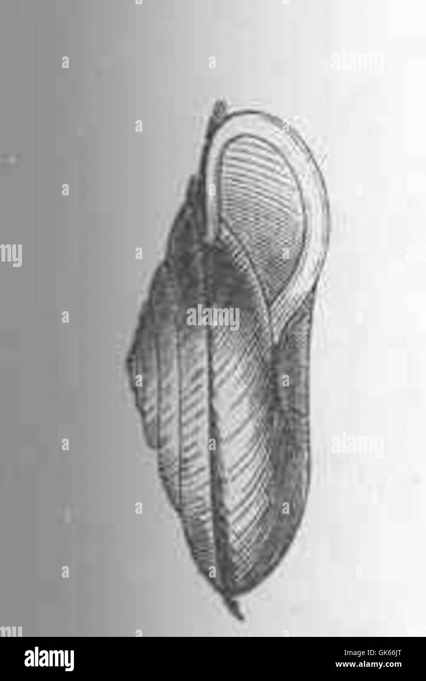 Map of adams Black and White Stock Photos & Images - Alamy