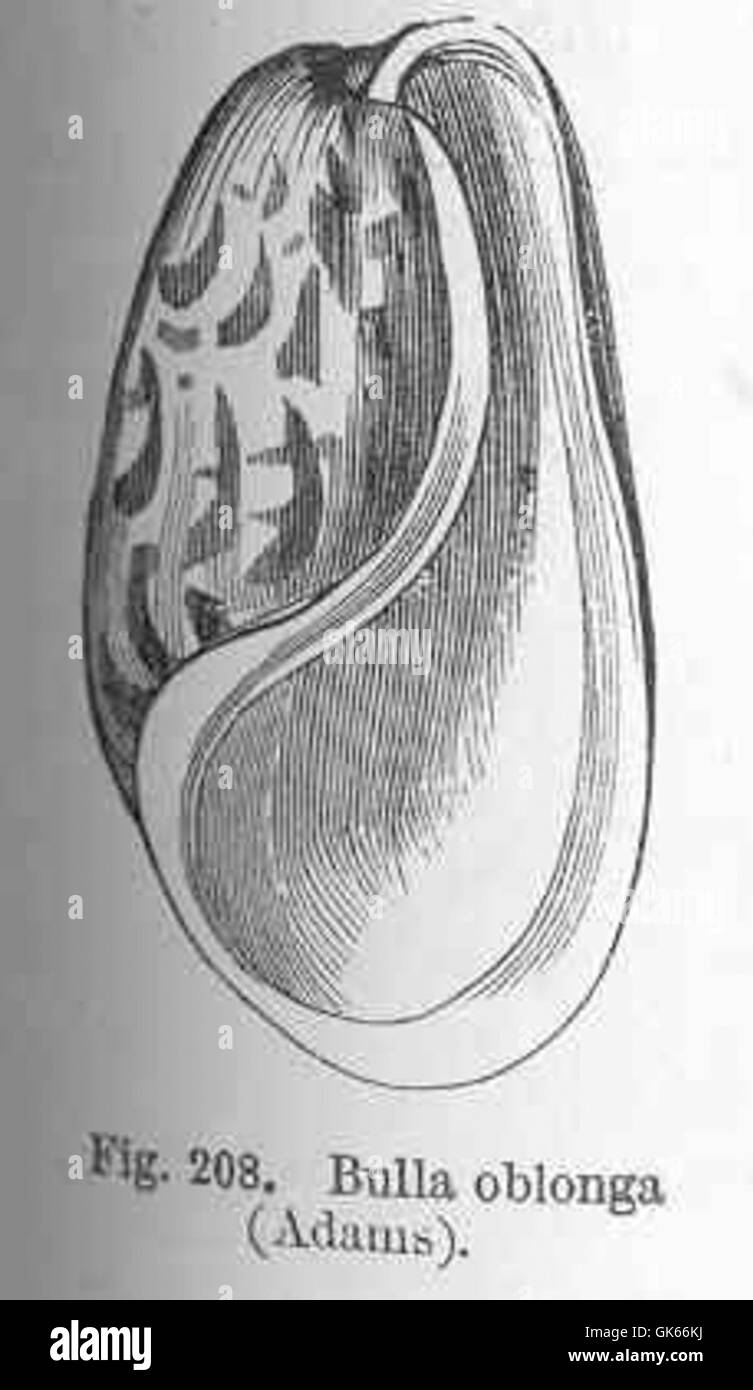 Map of adams Black and White Stock Photos & Images - Alamy