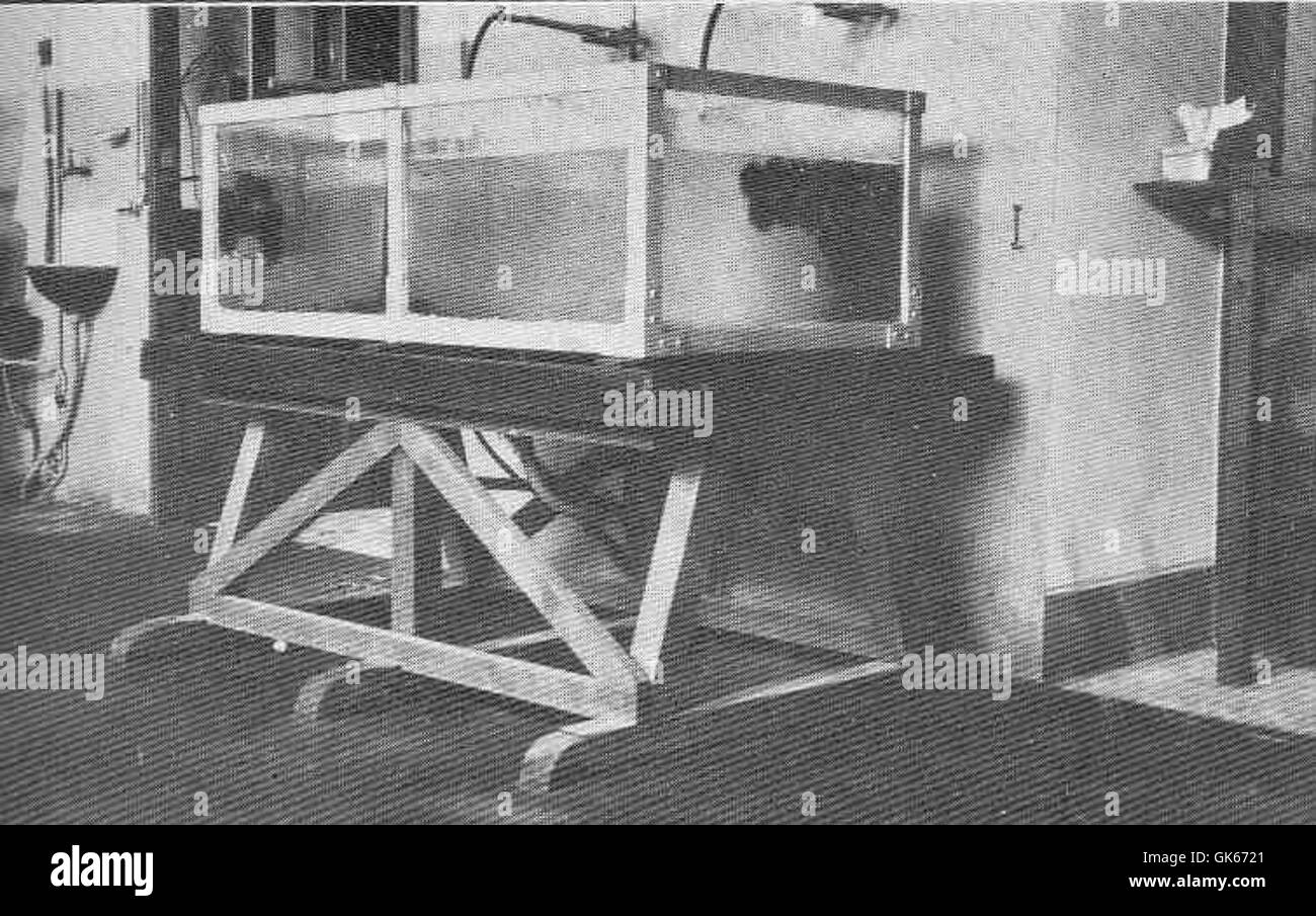 A display of various types of aquaria at the Naples station, showcasing ...