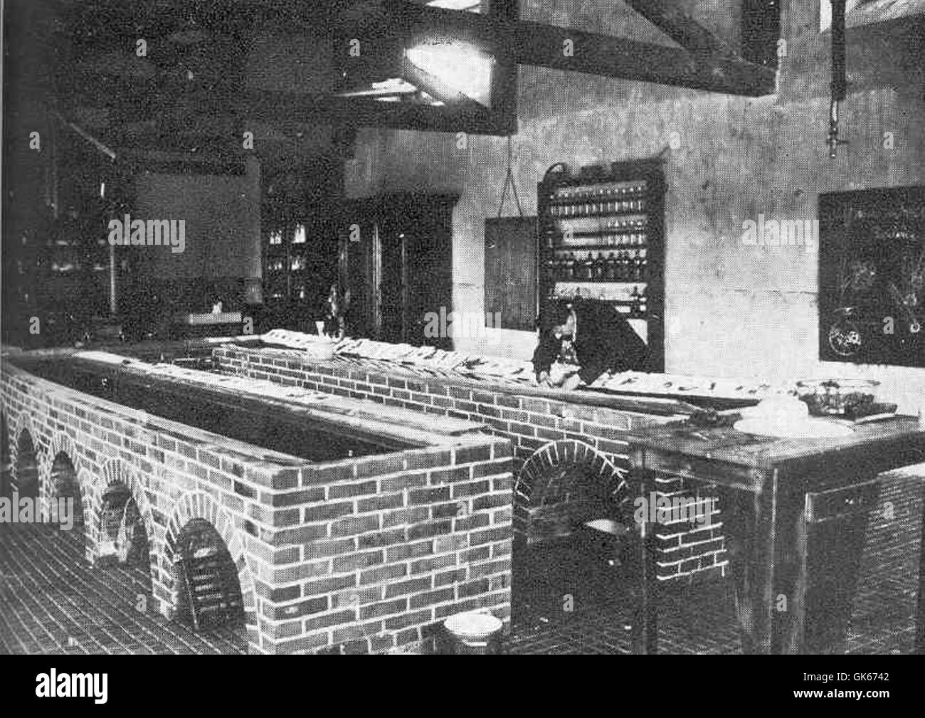 Aquatic life showcasing Black and White Stock Photos & Images - Alamy