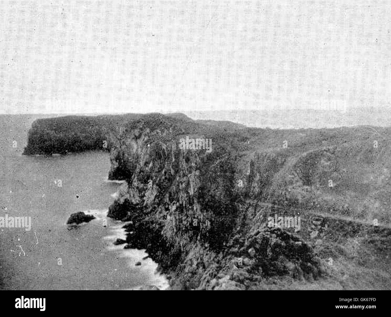 The southeast point of the main island of the Snares Group is shown, a ...