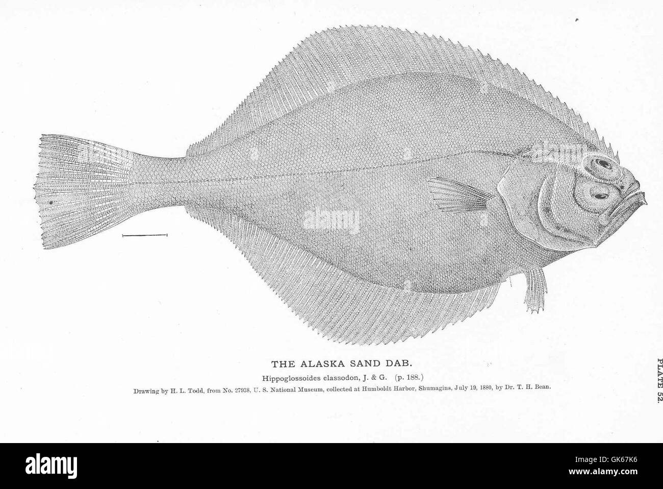 Dap font hi-res stock photography and images - Alamy