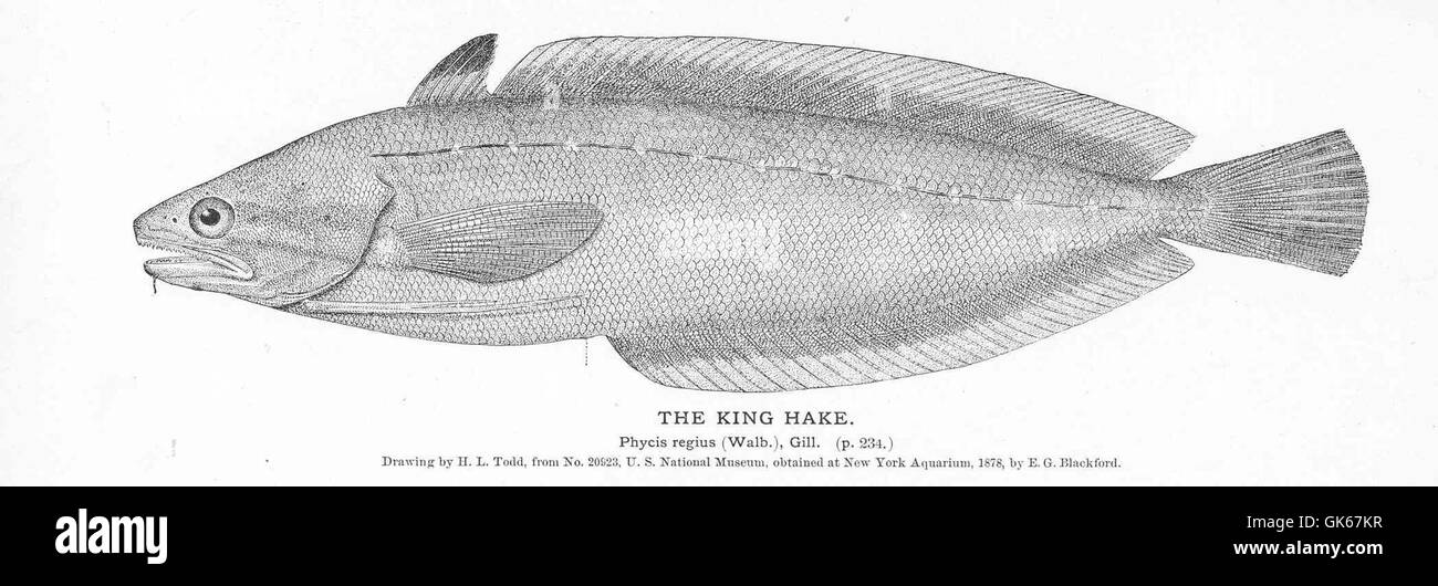 50905 hi-res stock photography and images - Alamy