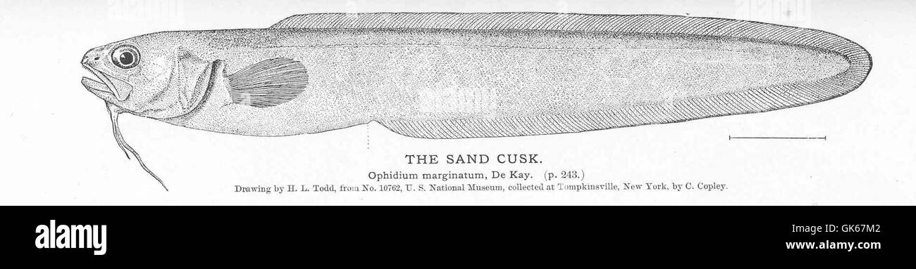 Sand floor Black and White Stock Photos & Images - Alamy