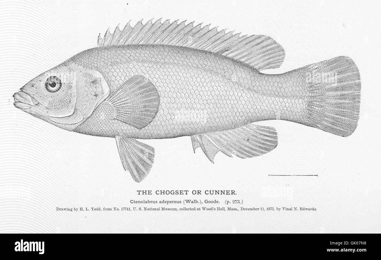 Chogset hi-res stock photography and images - Alamy